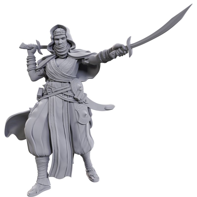 Pathfinder Battles Deep Cuts Unpainted Minis: W23 Desert Giant ...